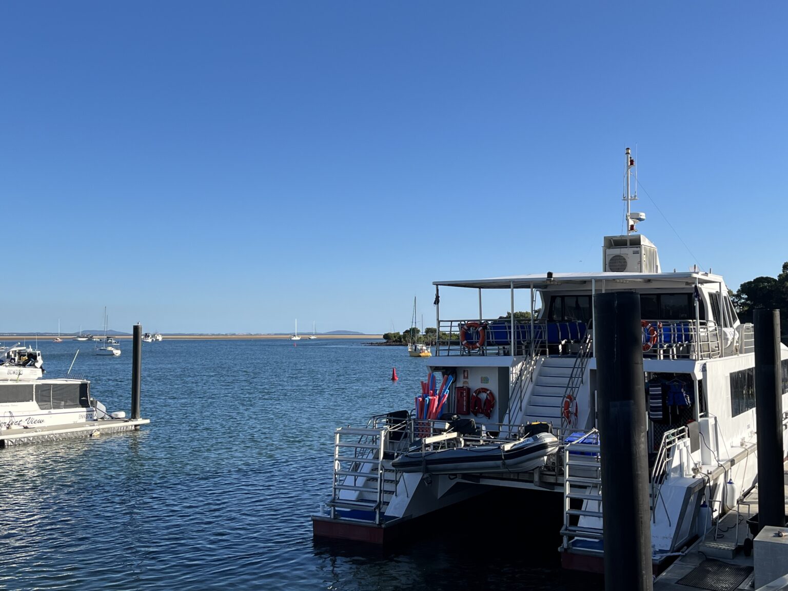 Fishing & Reef | 1770 Marina